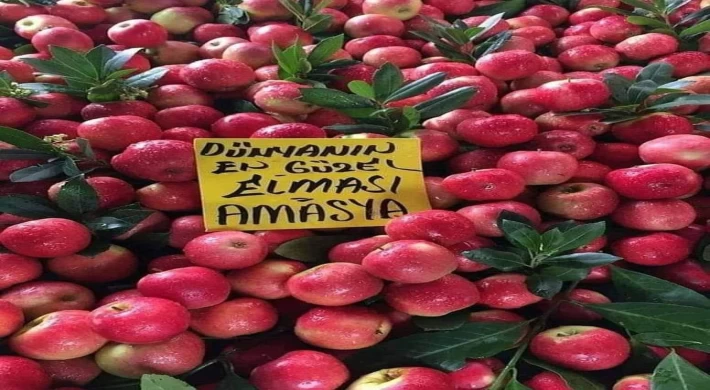Dünyanın En Güzel Elması Amasya Misket Elması! - Sabır Gazetesi ...